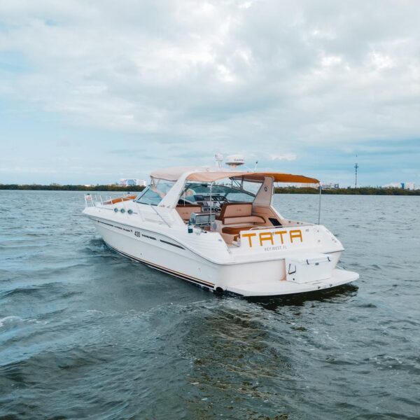 Yacht Tata Sea Ray 43 ft | Chartiers del mar