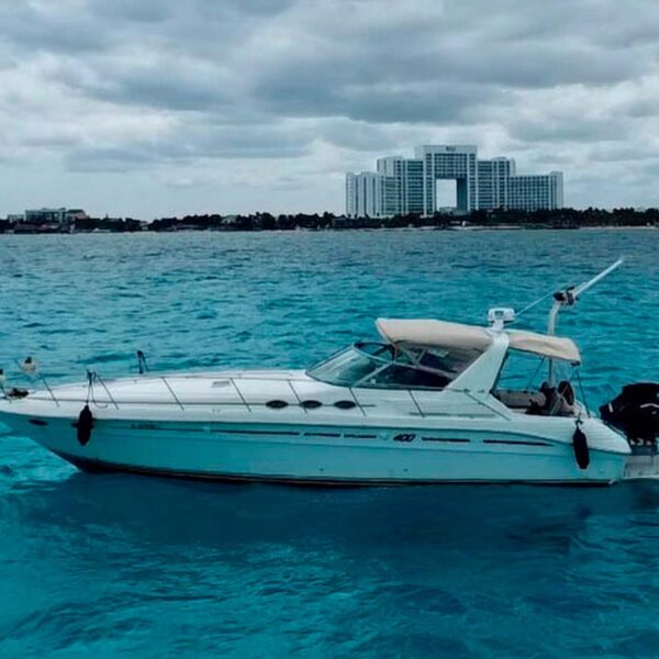 Yacht Tata Sea Ray 43 ft | Chartiers del mar